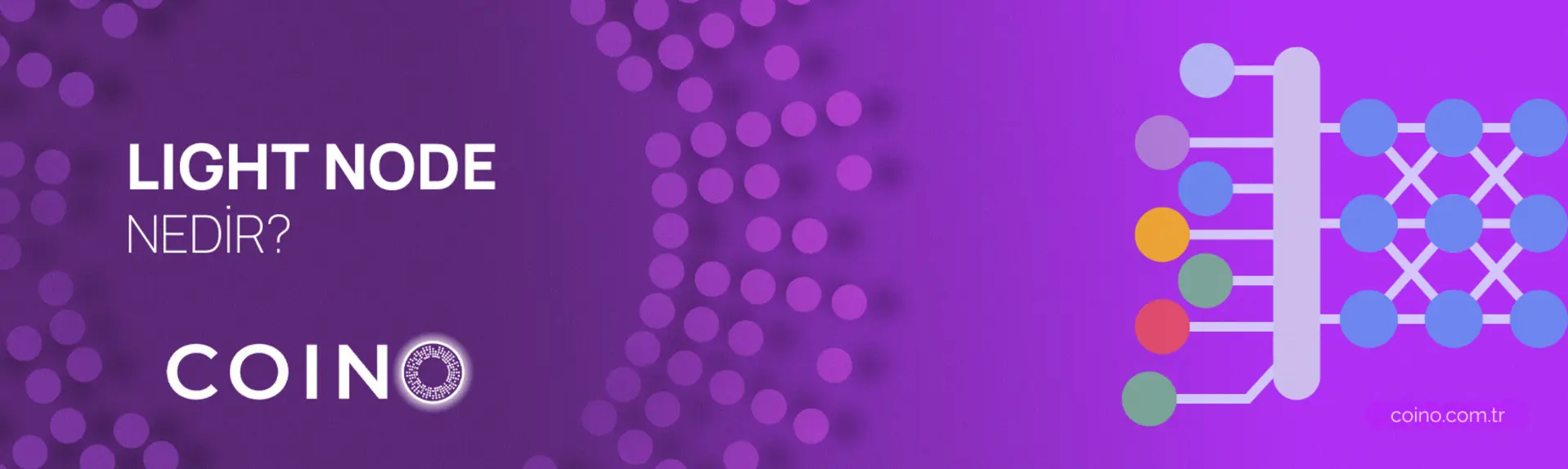 Light Node Nedir?